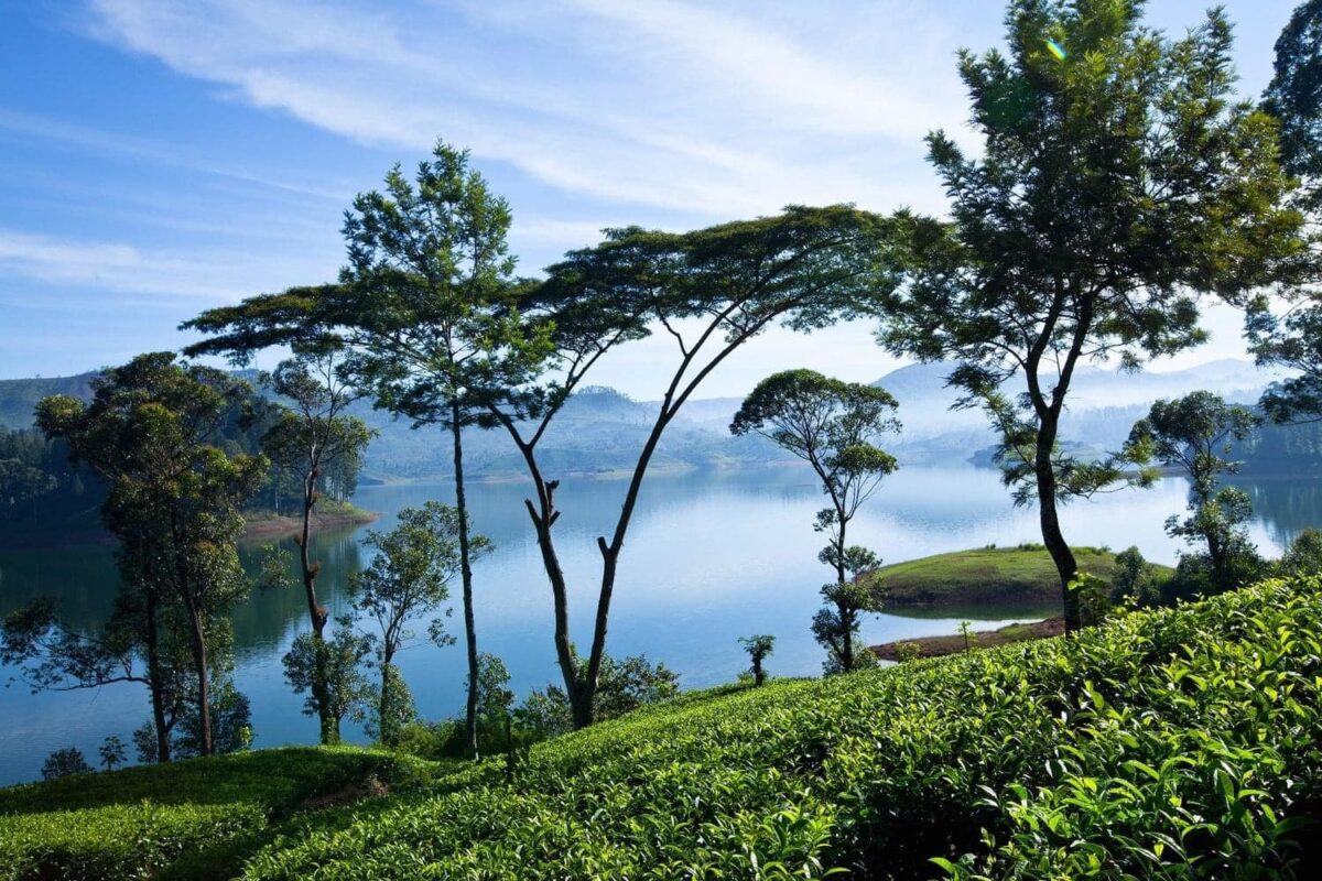 What is Ceylon? – Ceylon and Beyond